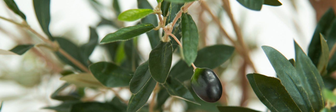 Faux Plants | Realistic No-Maintenance Artificial Greenery